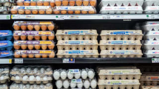 Cage-Free vs. Free-Range—and Other Egg Carton Labels—Explained