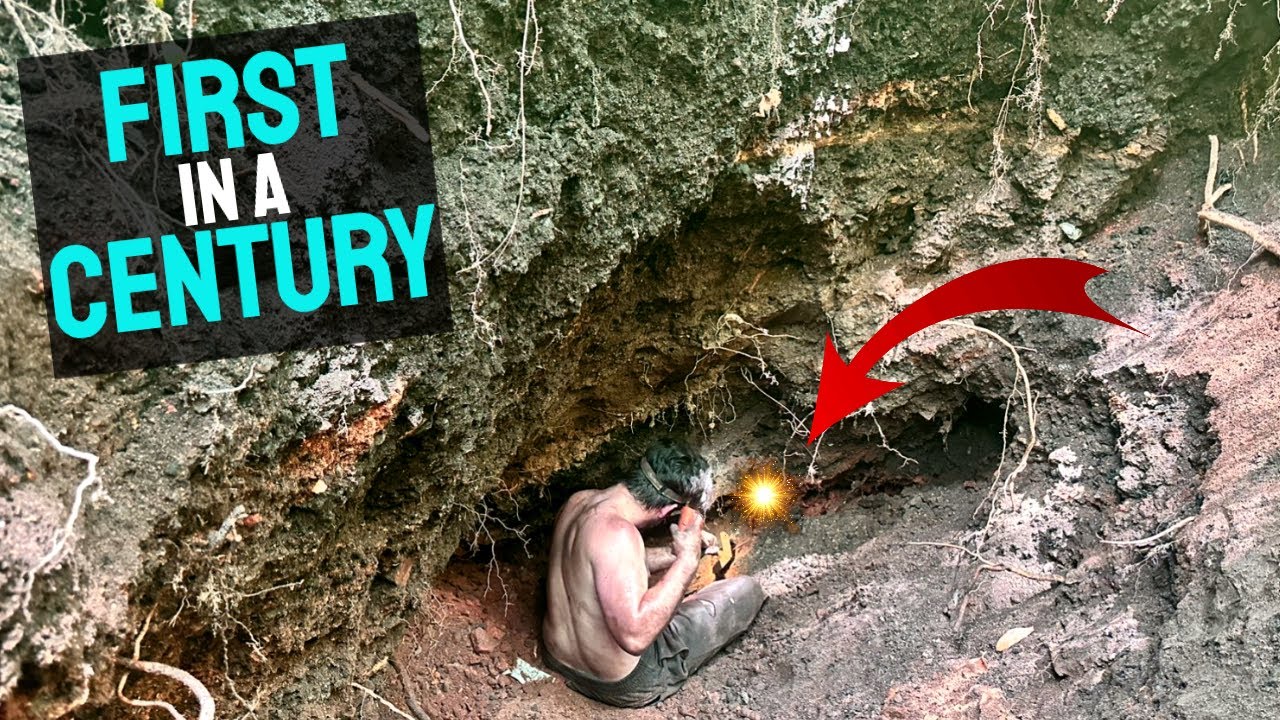 Adventure Archaeology - MSN