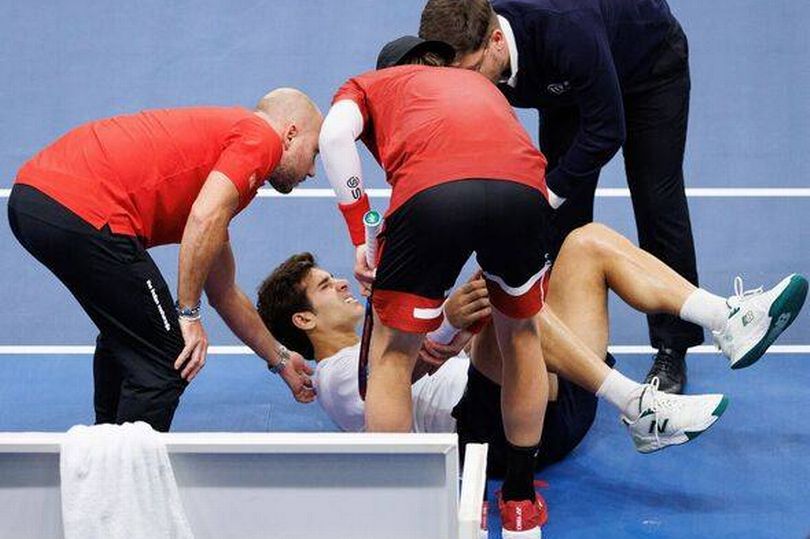 Novak Djokovic 'would have been disqualified for life' as tennis star ...