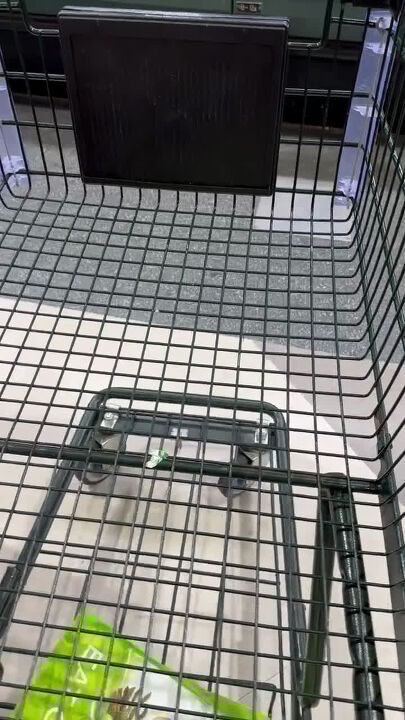 Preparación de comidas en carrito de compras