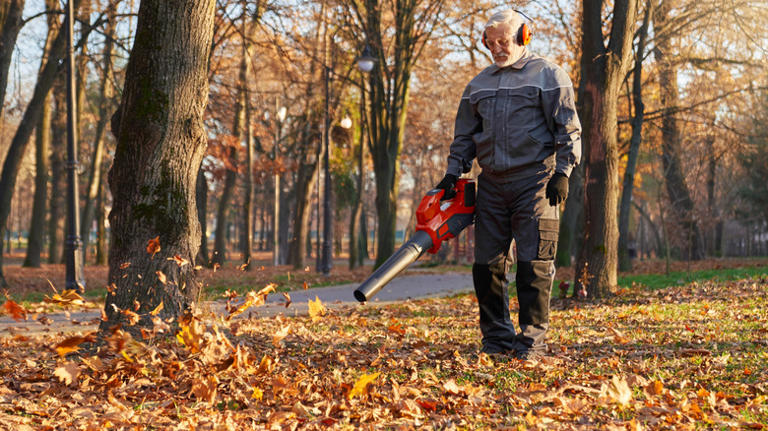 Leaf Blower Brands That Will Leave Your Lawn Spick And Span