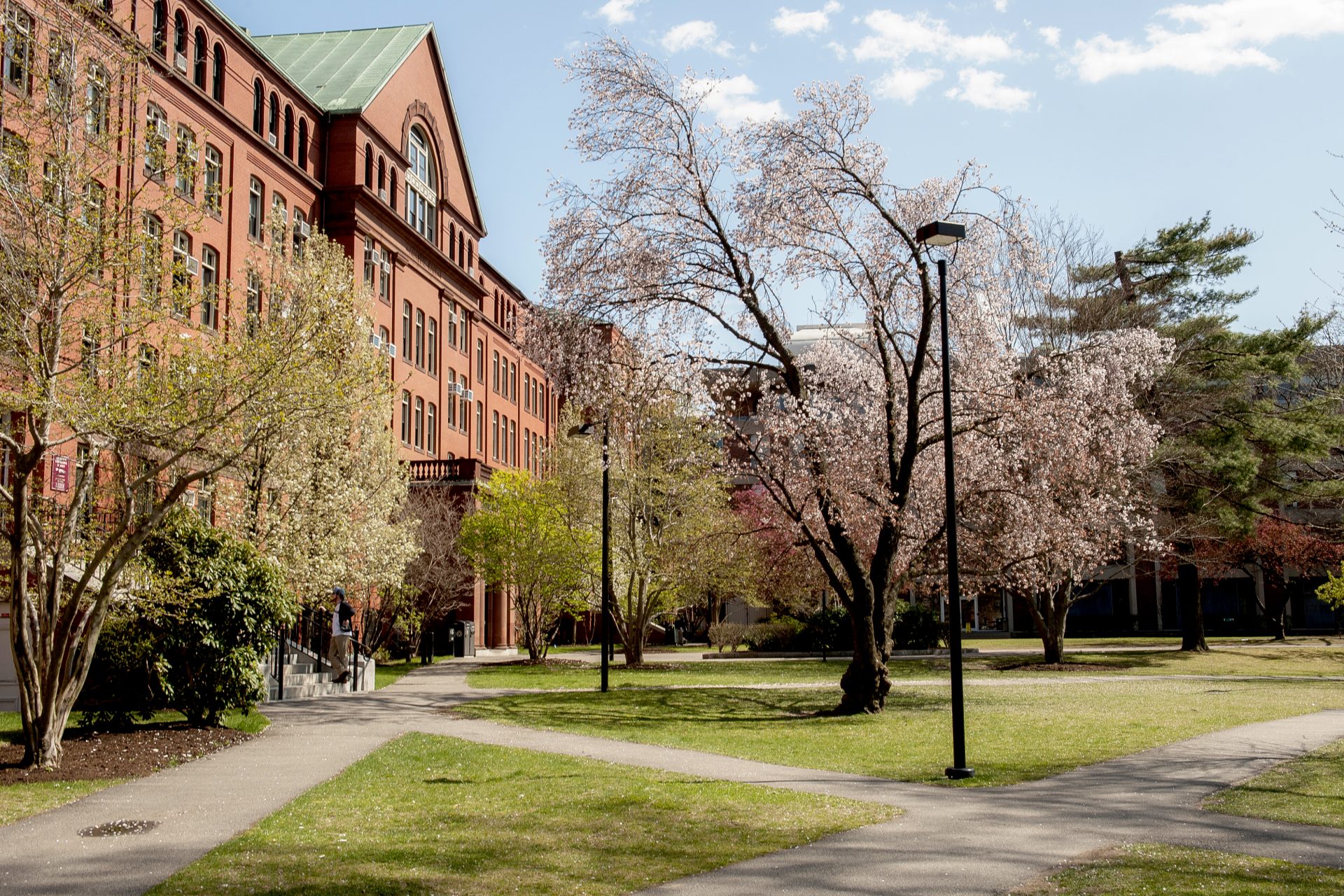 Harvard sued the Trump Administration over billions in federal funds