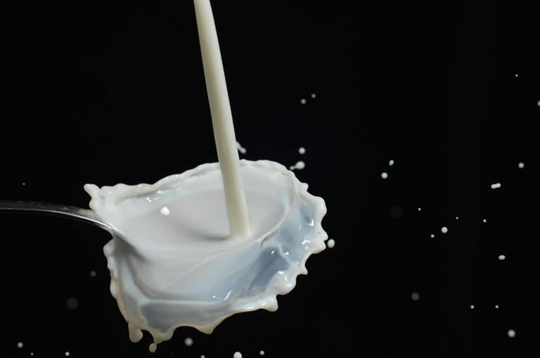 6 smart ways to check milk purity at home