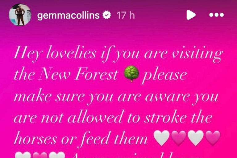 Gemma Collins risks fine as she hugs wild pony as fans slam 'silly ...