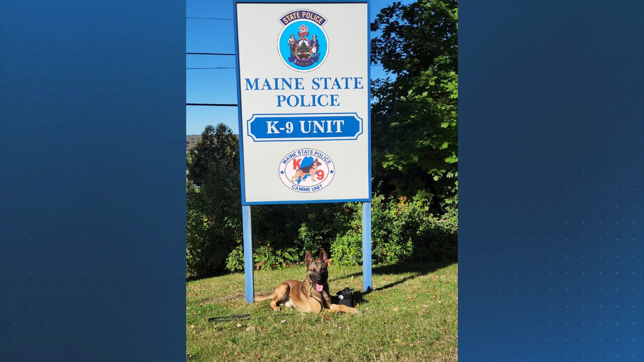 Man shot to death after wounding officer, killing K9 in New England ...