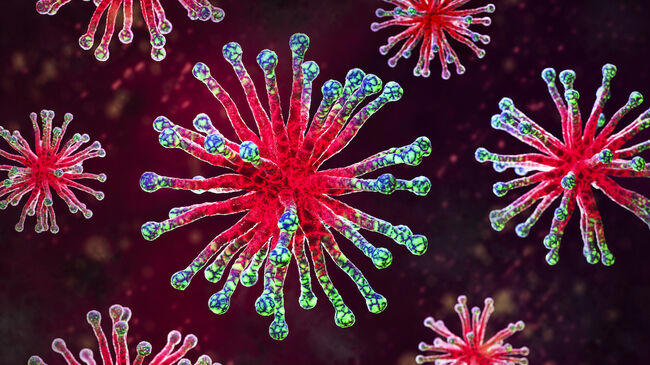 New Virus Discovered In US Raises Pandemic Fears