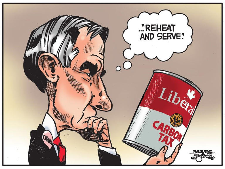 Edmonton Journal editorial cartoons for February 2025