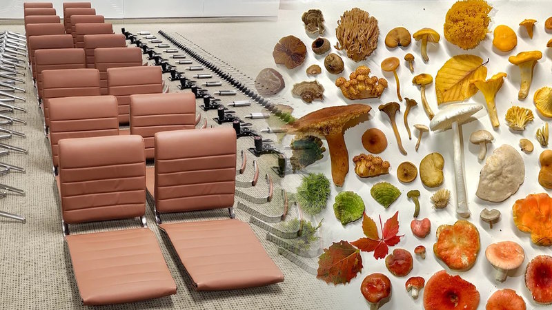 20 Colorful Arrangements Knolled For Your Viewing Pleasure