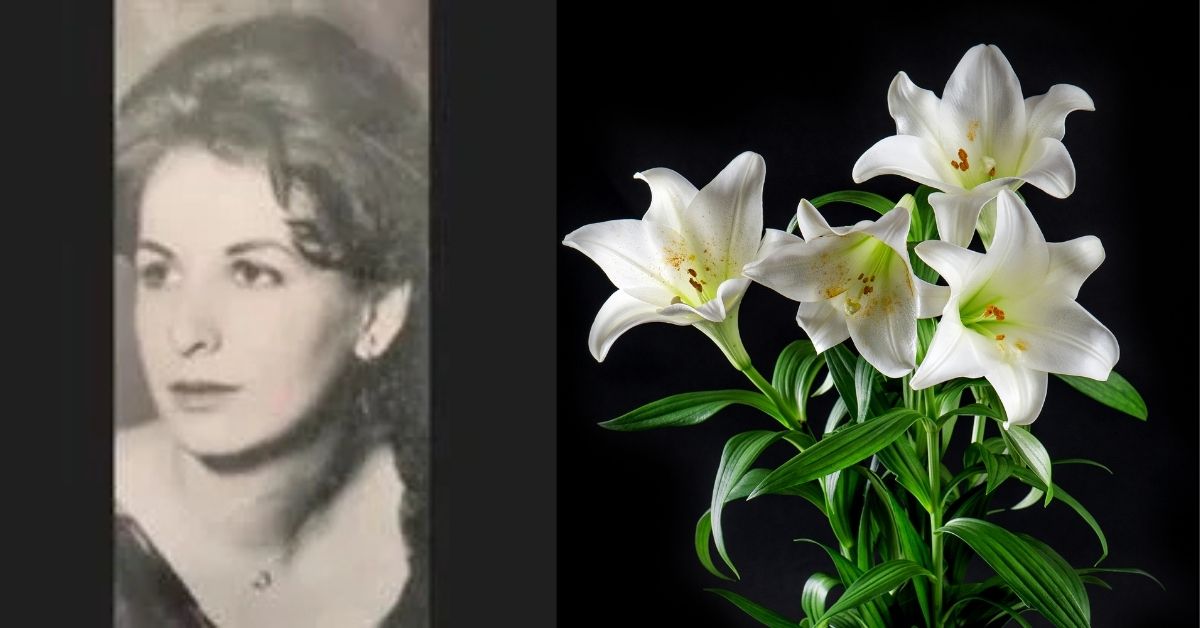 Patricia Shacklett, 78, cherished mother and grandmother, dies