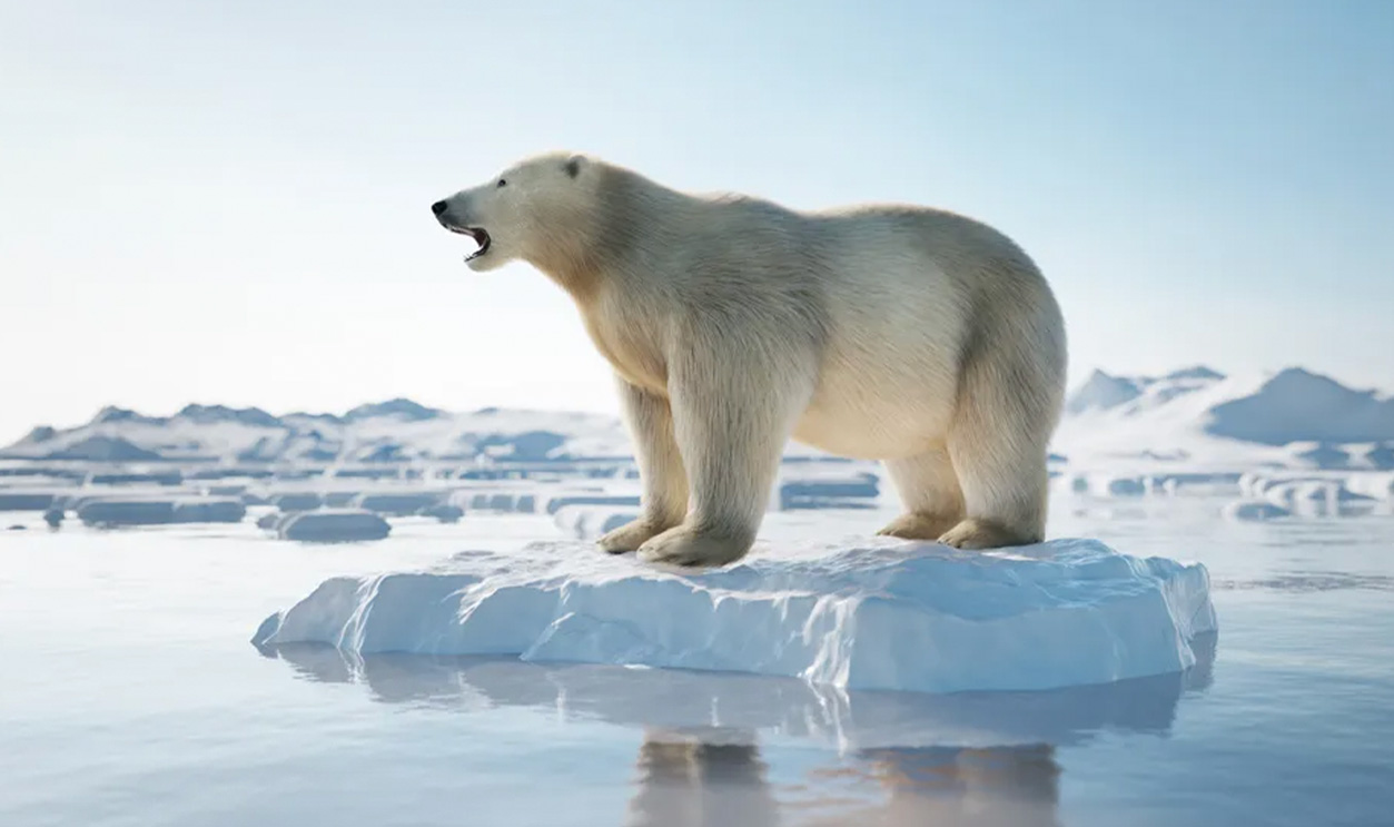 How Climate Change Is Predicted To Affect Our World In 2025