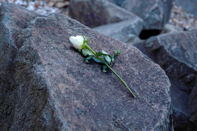 How D.C. Plane Crash Unfolded, from Hopeful Last Messages to Crew's ...