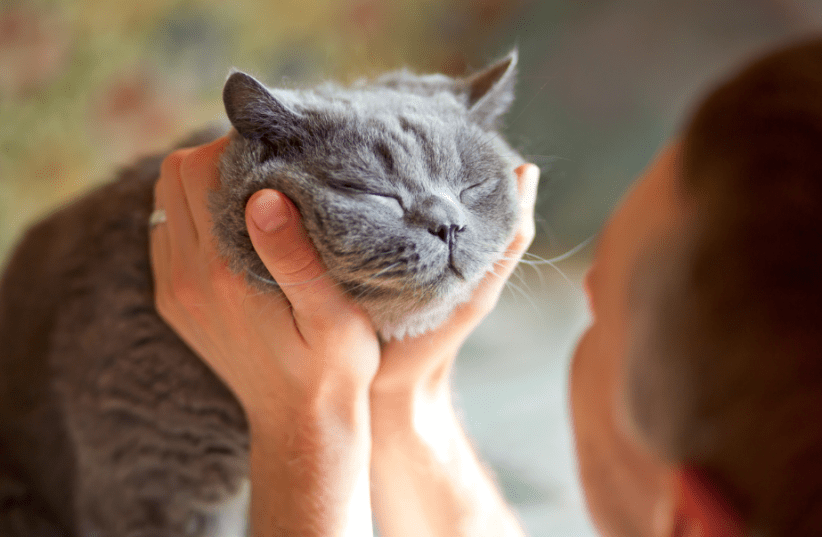 Blink, but slowly: Study reveals the secret to better communication ...