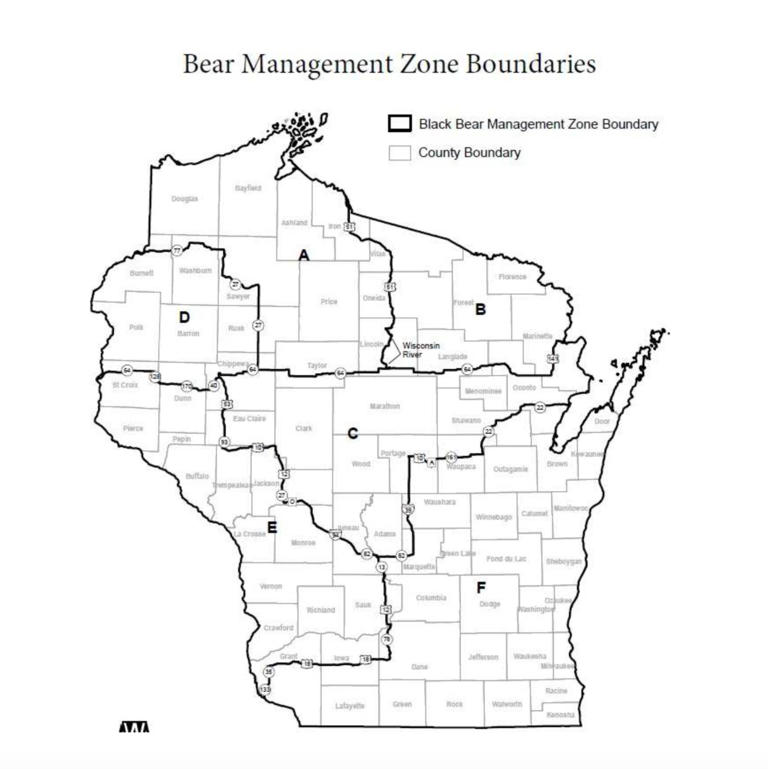 Wisconsin DNR to issue more bear hunting licenses, set higher kill goal ...