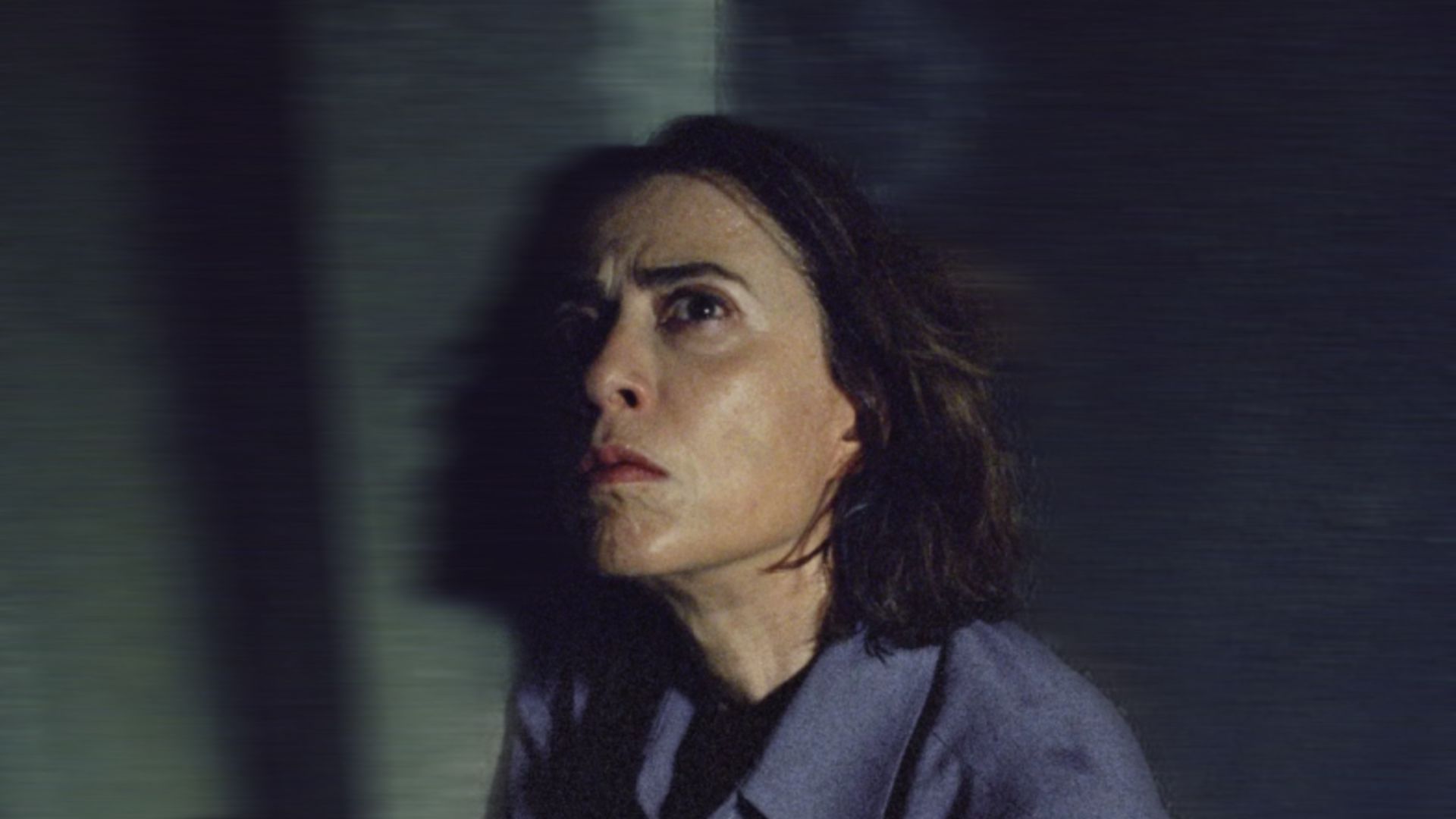 Wordt de Oscar-genomineerde biopic 'I'm Still Here' de best beoordeelde ...