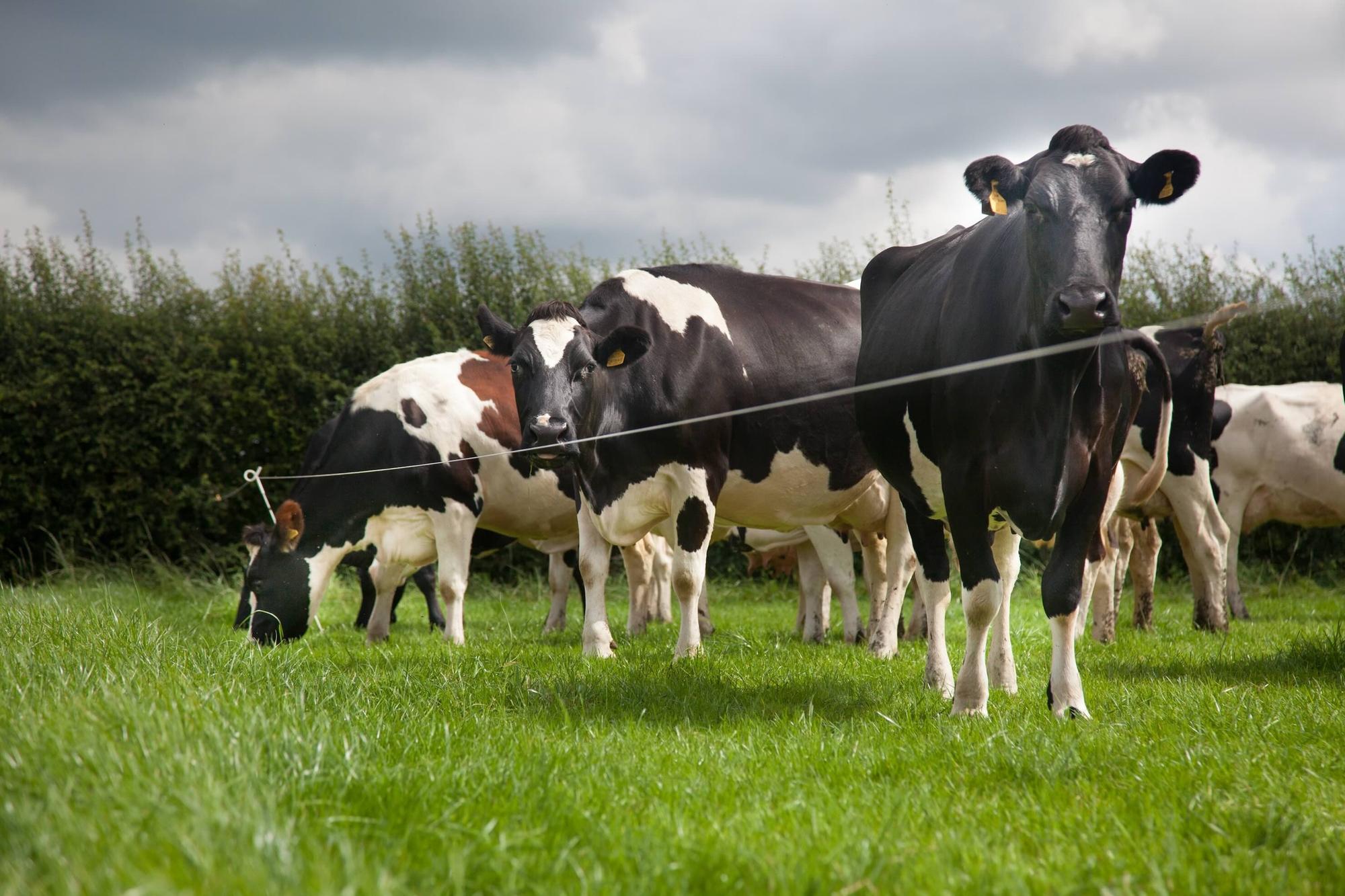 Germinal revolutionises sustainable farming with launch of new Climate ...