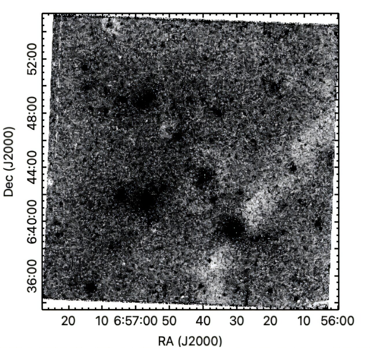 Optical observations explore the nature of supernova remnant G206.7+5.9
