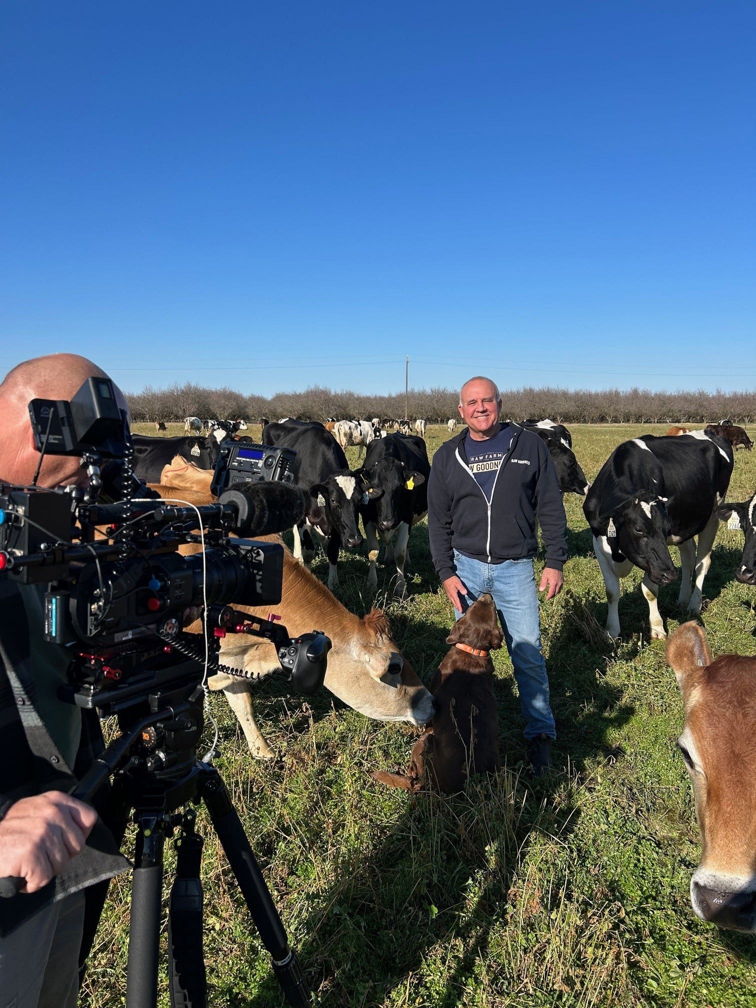The Amish farmer who ignited outrage over raw milk and rose to MAGA ...
