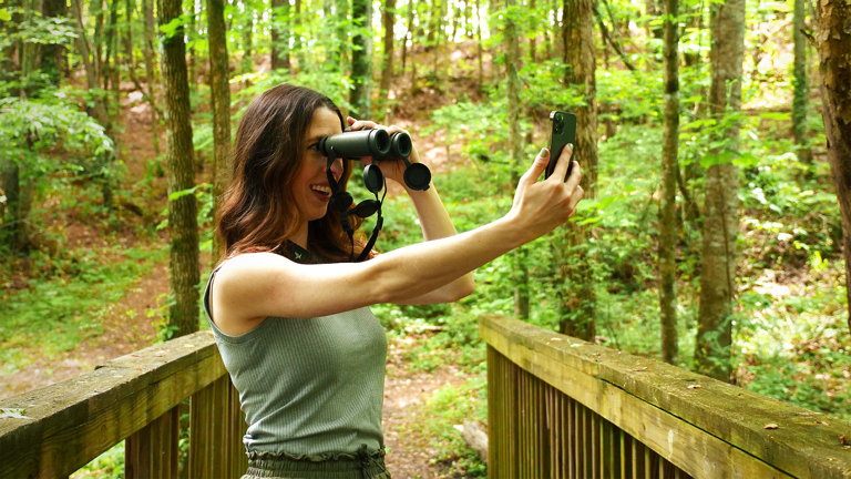 What bird is that? How you can easily identify a bird you see in the ...