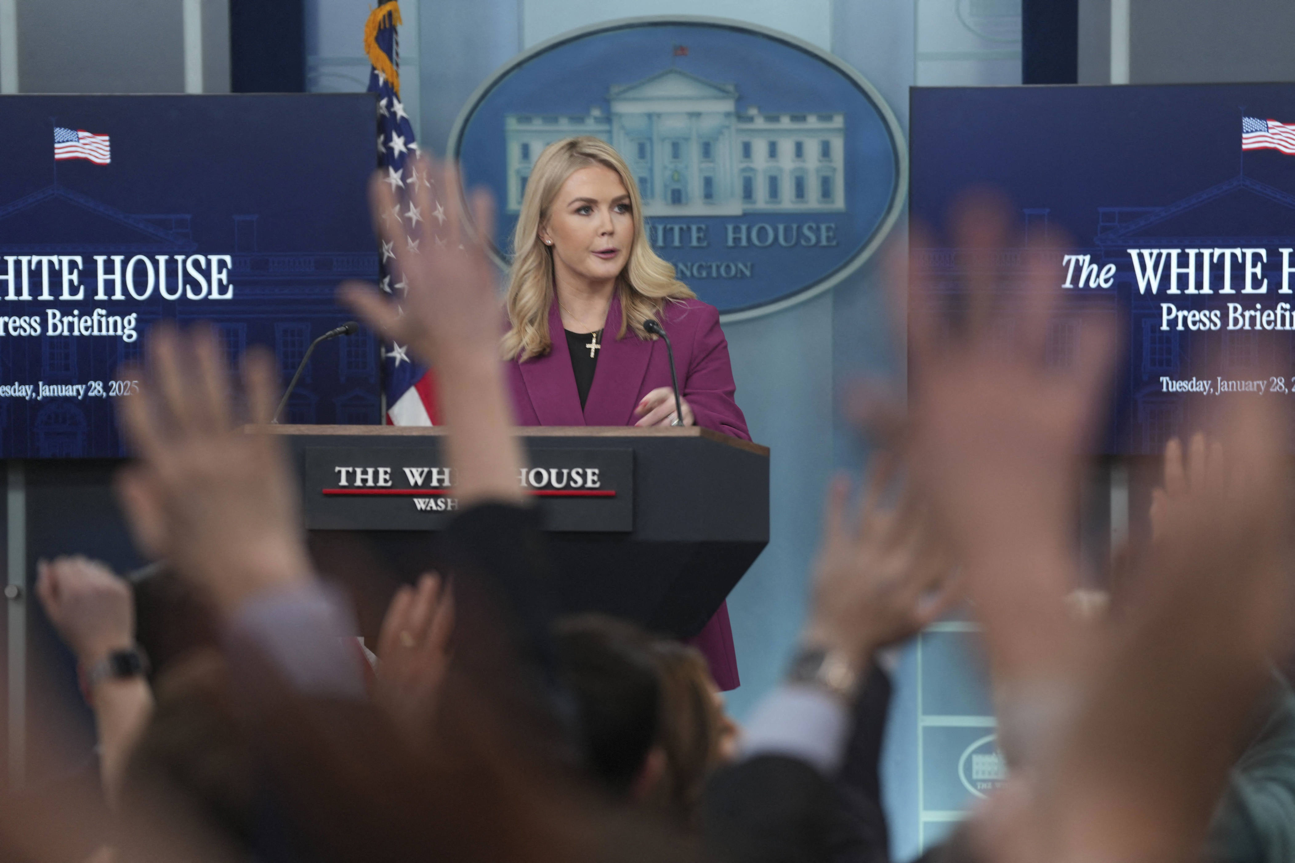 ‘Betrayal’: Trump Admin Upset with Elon Musk