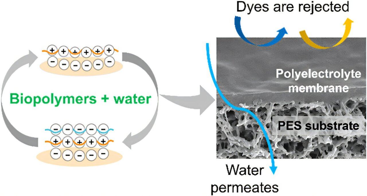 Sustainable plant-based membrane works without fossil fuel materials ...