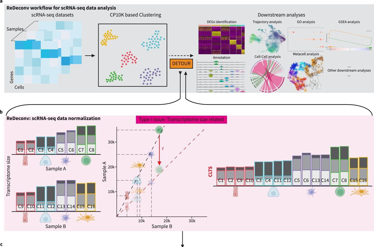 Computational tool incorporates transcriptome size to improve RNA-seq ... Computational tool incorporates transcriptome size to improve RNA-seq ...