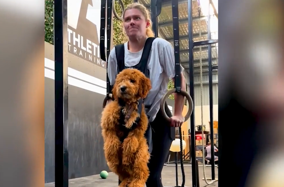 14 Crazy Gym Routines That Will Totally Shock You