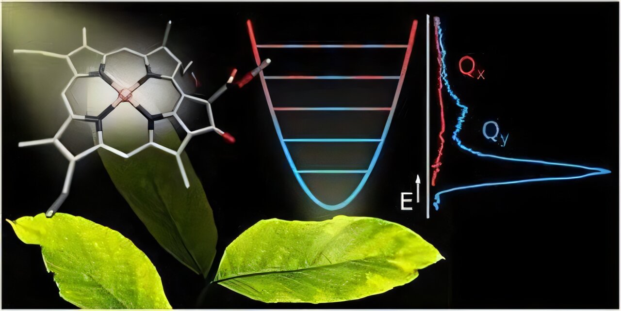 Exploring quantum mechanics in photosynthesis: Insights into energy ...