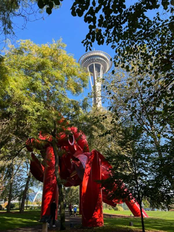 From Blue to Deep Blue: The Most Progressive States in the U.S.