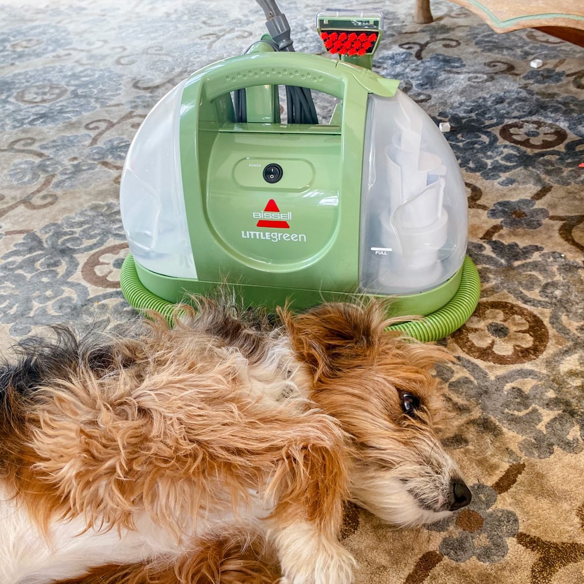 Does Bissell’s Little Green Machine Really Work? We Tried the Viral ...