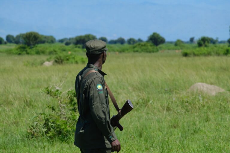 As Africa eyes protected areas expansion of 1 million square miles ...