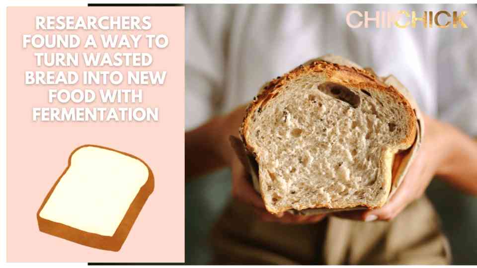 Researchers Found A Way To Turn Wasted Bread Into New Food With ...
