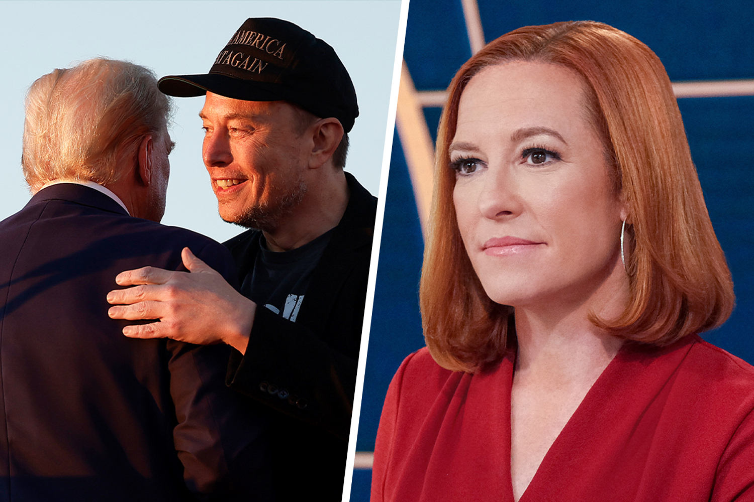 In the face of Trump and Musk's hostile takeover, Dems and everyday ...