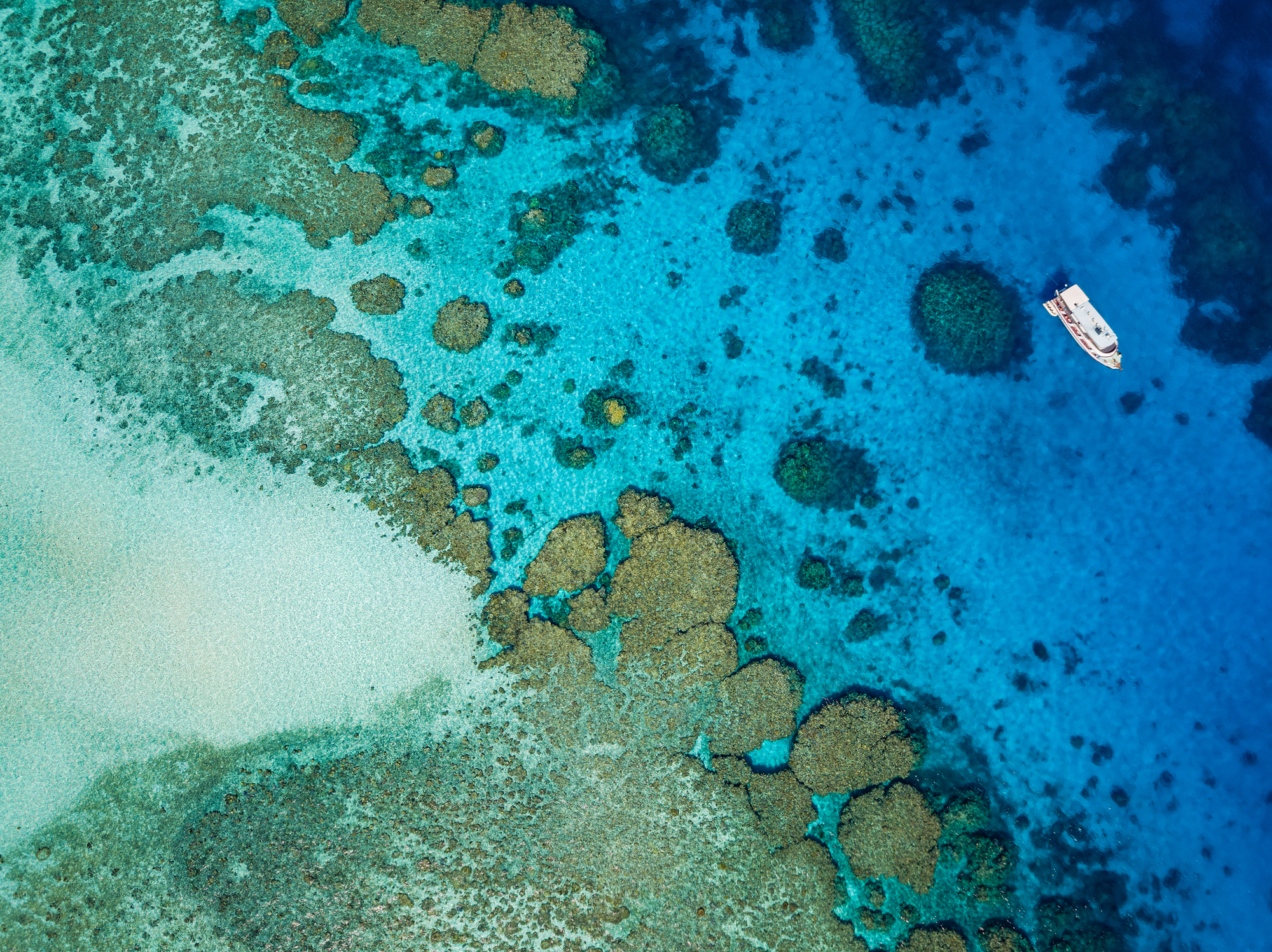 16 reef snorkel spots with wildlife