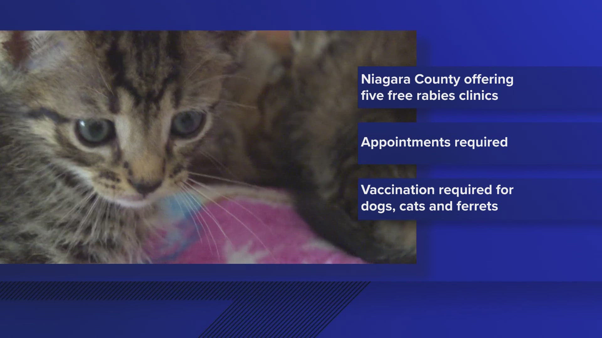 Niagara County free rabies clinic schedule released today