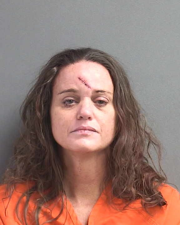 Former Ormond Beach police officer sentenced for excessive force