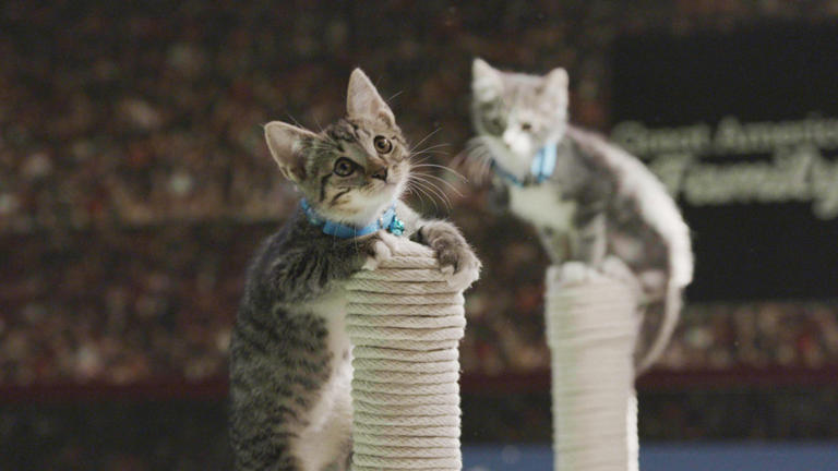 Move Over Super Bowl—Donna Kelce’s Hallmark Movies Are Taking Over This ...