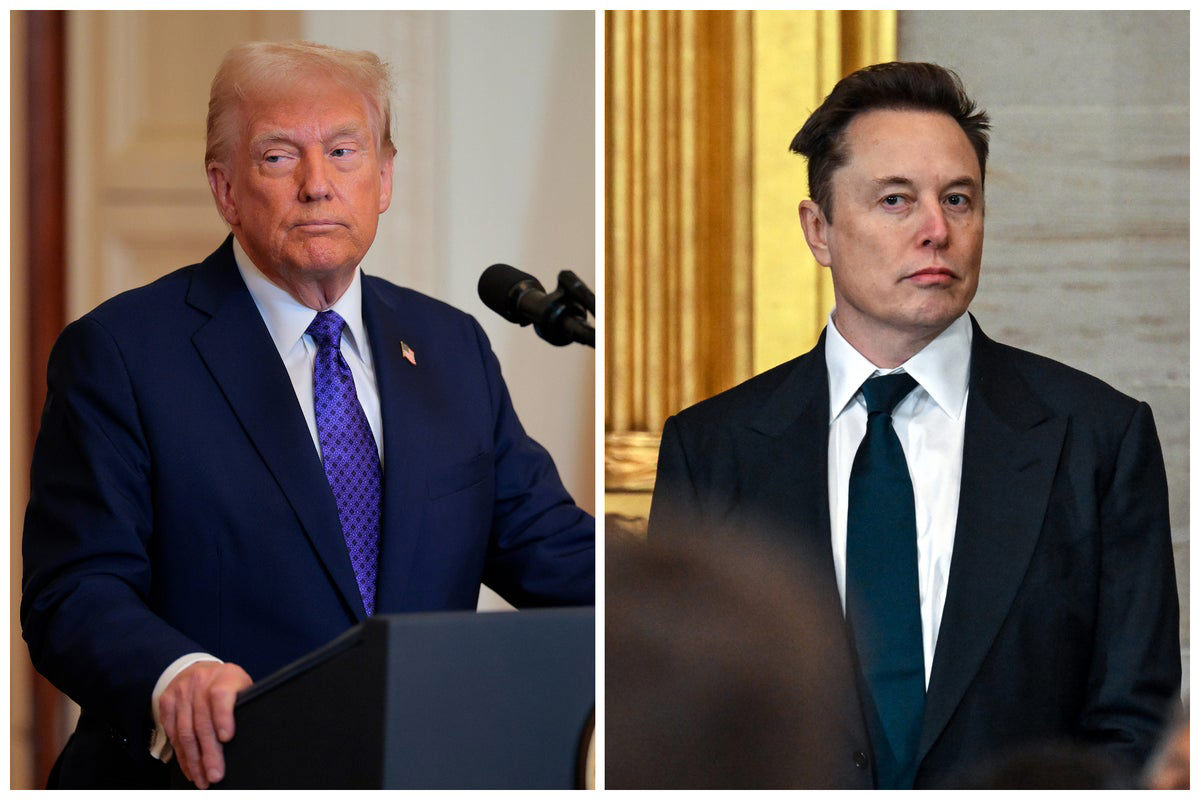 Plants and fake news: All the ways Trump and Musk have floated catching ... Plants and fake news: All the ways Trump and Musk have floated catching ...