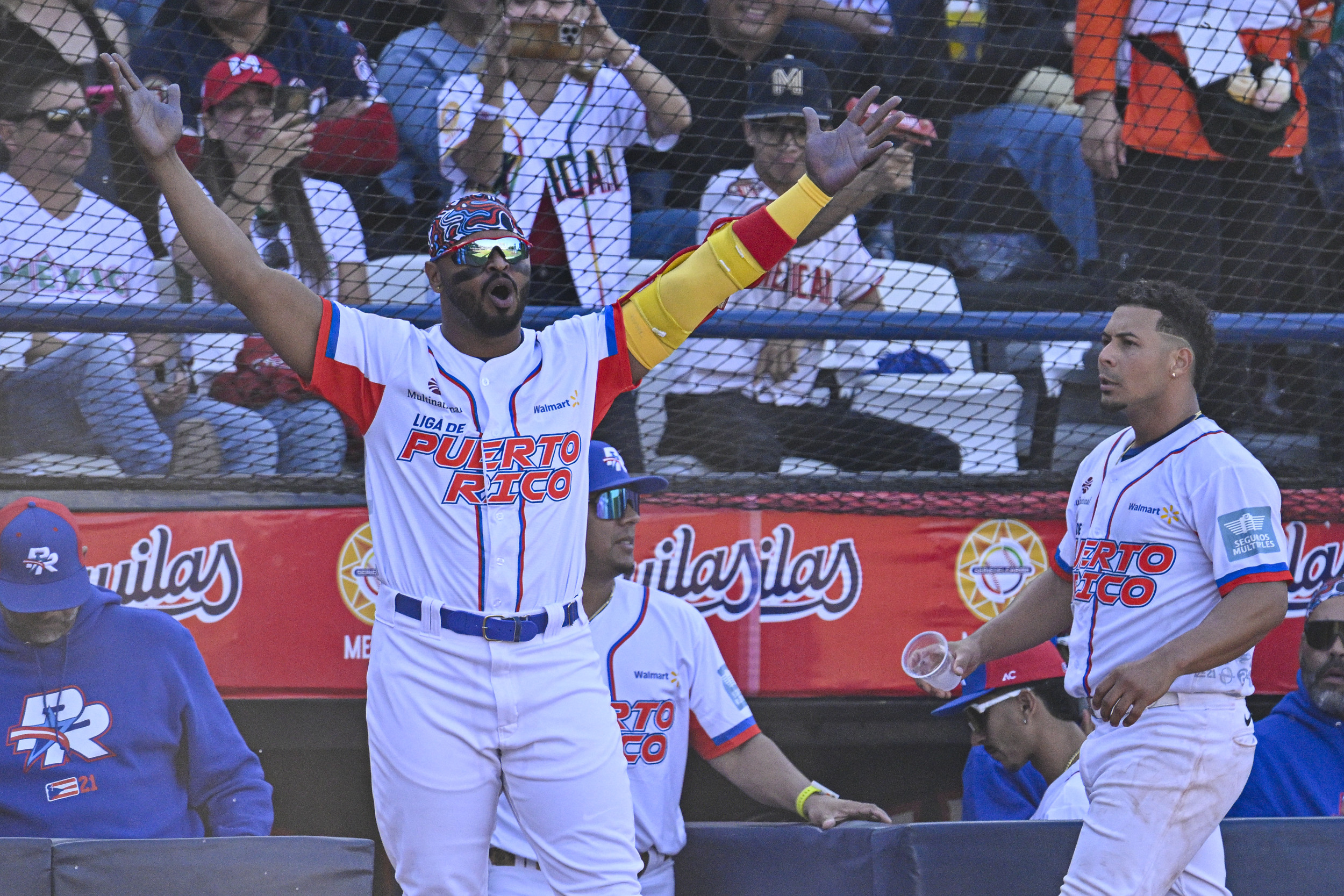 How to Watch Puerto Rico vs Dominican Republic: Live Stream Caribbean ...