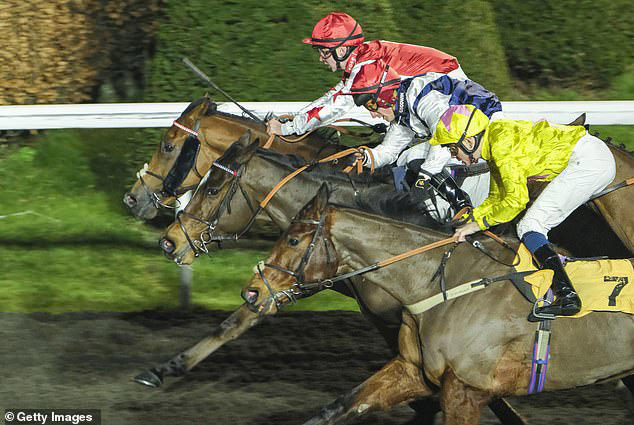 Robin Goodfellow's racing tips: Best bets for Wednesday, February 5