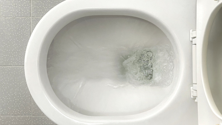 The Best Way To Banish Scratches From Your Toilet Bowl