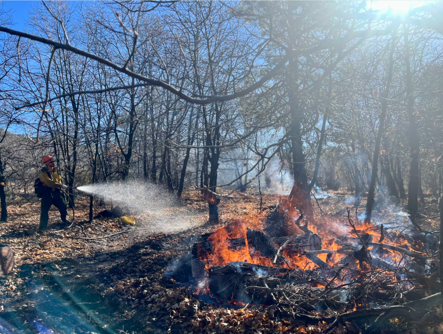 Cal Fire to suspend burn permits in San Diego County starting June 2