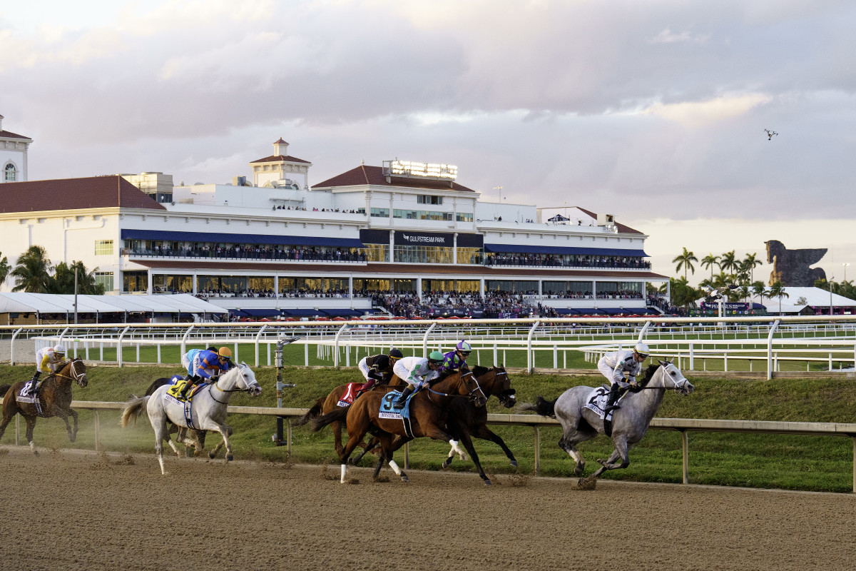 Florida decoupling bill could pave way for thoroughbred racing at Palm ...