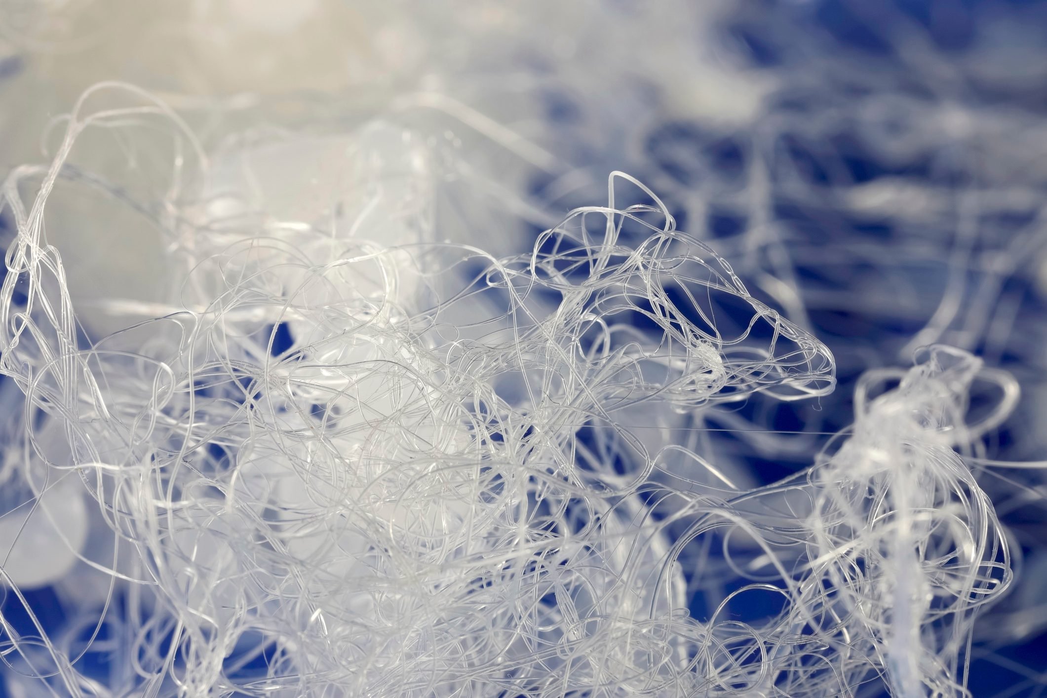 New Study Reveals Concerning Amount of Microplastics in Human Brains