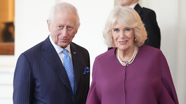 Queen Camilla's ‘Health Issues' Revealed After King Charles' Cancer ...