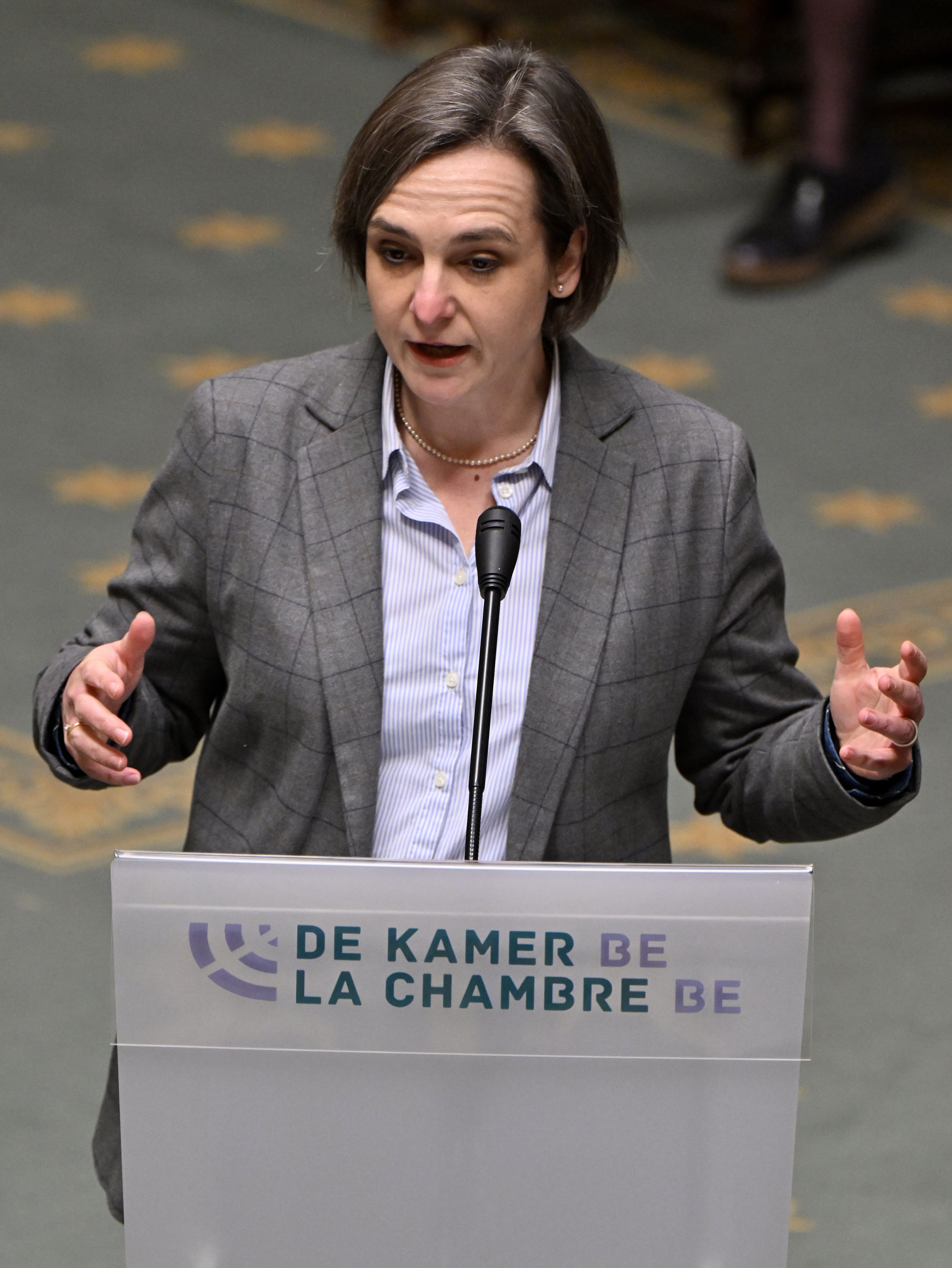 Regering-De Wever - Barbara Pas: "Regering rekent zich rijk"