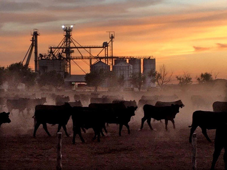 JBS USA announces $150 million expansion at Texas beef facility