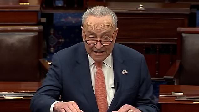 Chuck Schumer argues DOGE operating as 'shadow government'