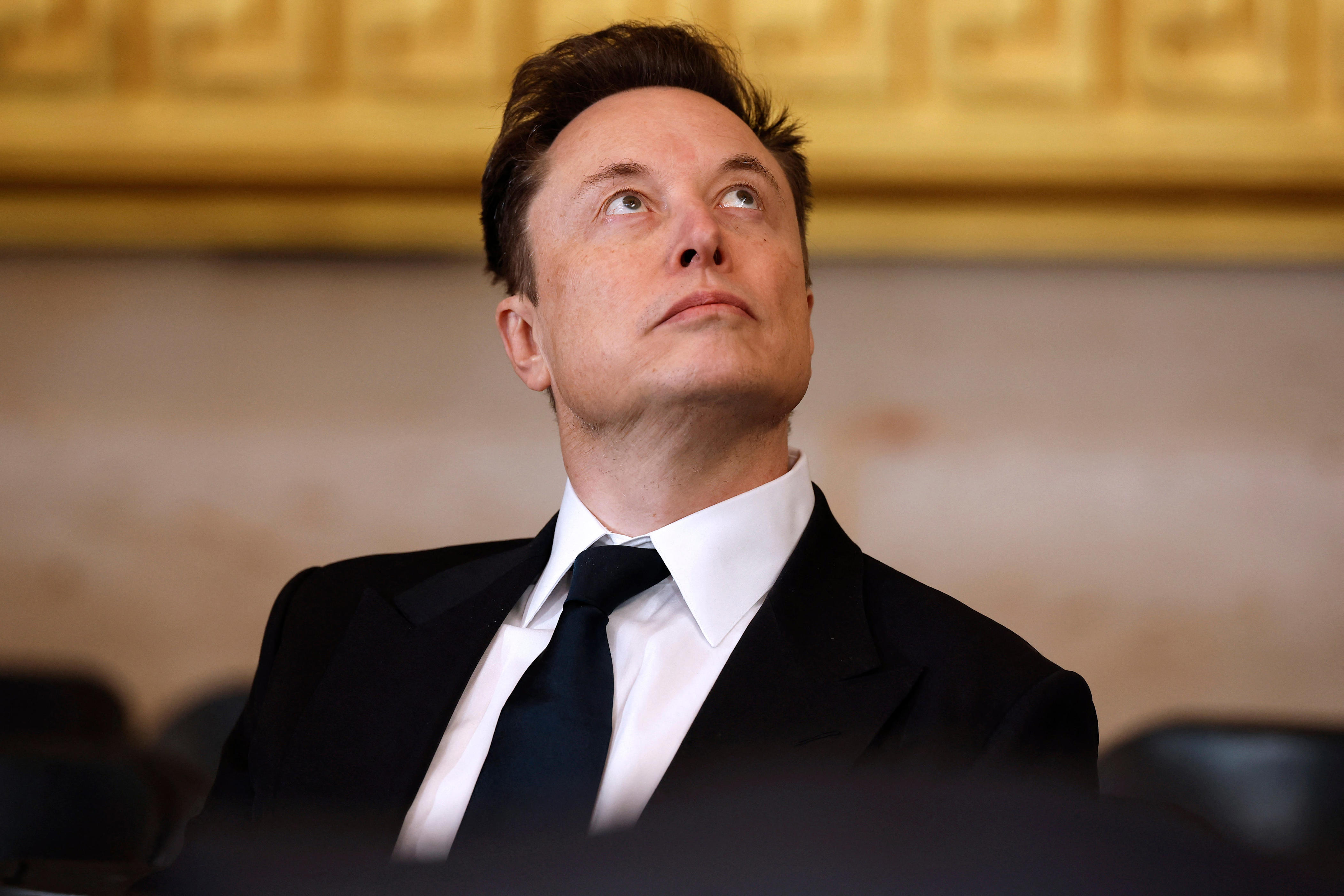 Is Elon Musk a U.S. citizen? The SpaceX billionaire is now a government ...