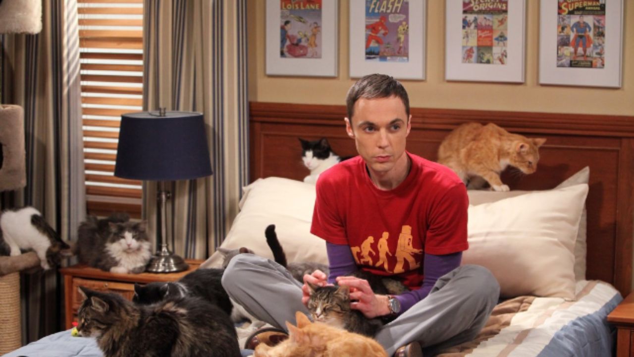 Jim Parsons verrät emotionalen Grund für seinen Ausstieg aus „The Big ...