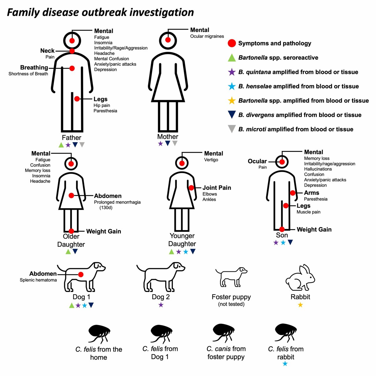 Case study: Bartonella and Babesia co-infection in family associated ...